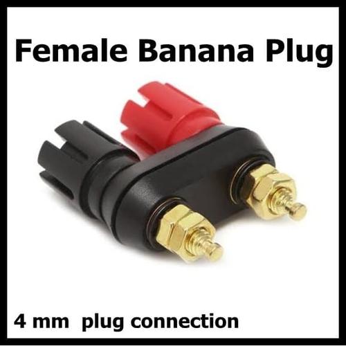 Jual Dual Female Banana Plug Jack Terminal Binding Post 4mm for Speaker ...