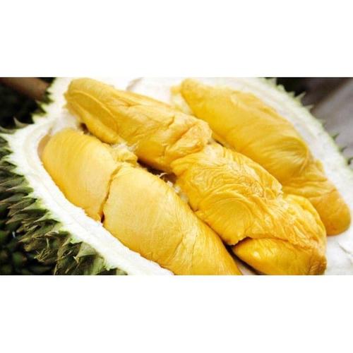 Jual Bubuk Essence Durian 50 gram, Jual Bubuk Essen Durian Powder - Kab ...