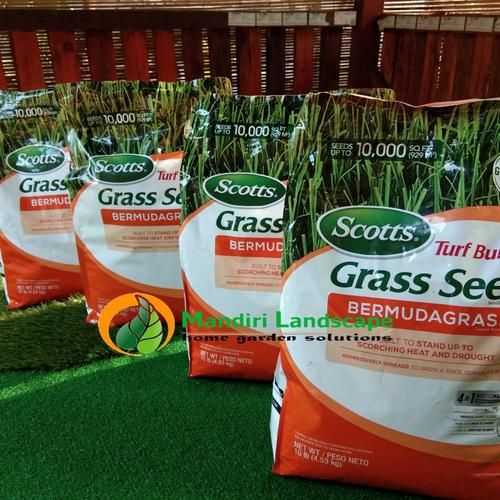 Jual benih rumput bermuda grass scotts dan benih rumput gajah - Kab ...