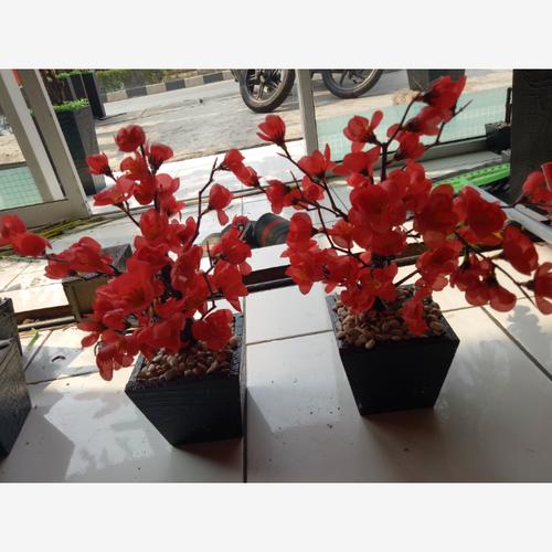 Jual Bonsai sakura imlek sakura artificial - Kota Tangerang - ikha ...