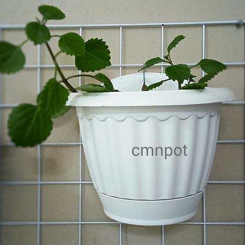Jual Pot Dinding/Tembok 20 DX Putih - Kab. Tangerang - CMN Pot | Tokopedia