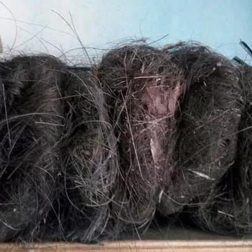 Jual jual ijuk/injuk - Kab. Pangandaran - Surgaherbal_NEW | Tokopedia