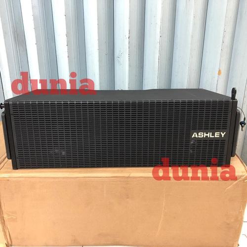 Jual Speaker Line Array Ashley Famous 210 N With Switch To Passive Or ...