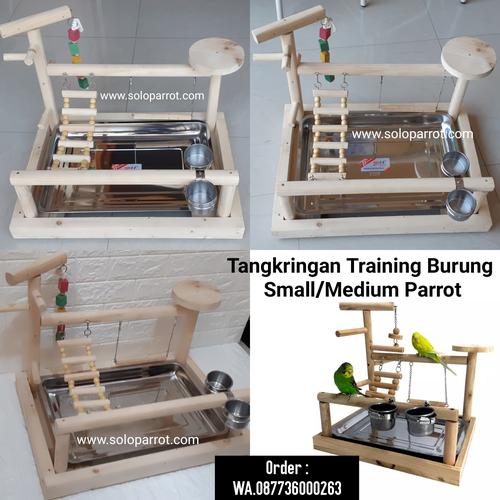 Jual Tangkringan Training Burung Parrot - Kab. Sukoharjo - Solo Parrot ...