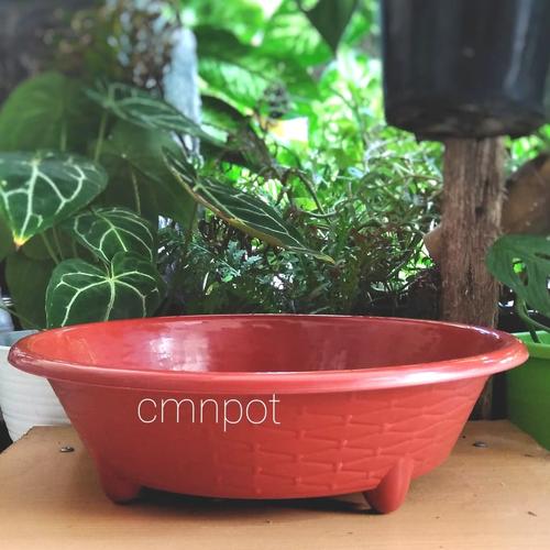 Jual Pot Bunga Bonsai Model Bulat OV06 Coklat - Kab. Tangerang - CMN ...