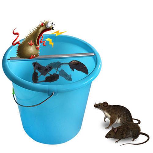 Jual Active 1 PC Mice Trap Log Roll Bucket Mice Trap Rolling Mouse Rats ...
