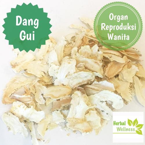 Jual Dang Gui Tou Premium 37gr - Angelica Root Tang Kuei Dong Quai ...