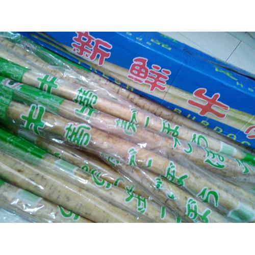 Jual Gobo/Burdock/Ketela Jepang adalah tanaman vegetarian berbentuk ...