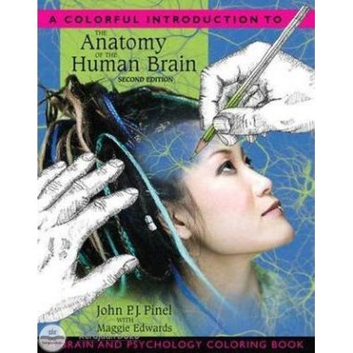 Jual A Colorful Introduction to the Anatomy of the Human Brain : A ...