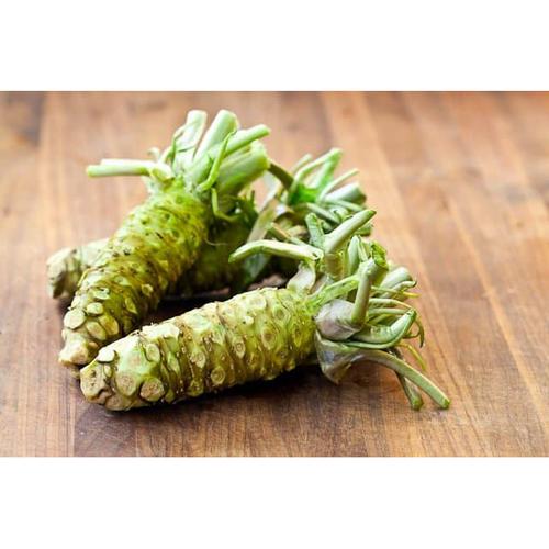 Jual Fresh Real Japanese Wasabi Root Batang Wasabi Utuh Jepang Grade C ...