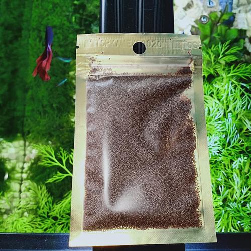 Jual Carpet Seed Bibit Rumput Mini Dwarf - Kab. Bogor - Bella And Zona ...