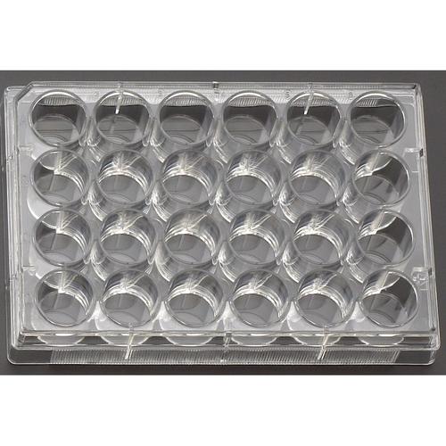 Jual 24 Well Cell Culture Plate sterile single wrap isi 50/Box - Kota ...