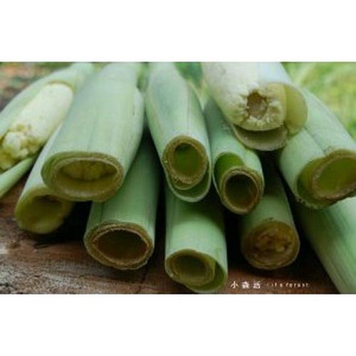 Jual TERUBUK TEREBUS TELOR TEBU KEMBANG TEBU ENDOG DELOWAKO Ready - Kab ...