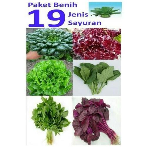 Jual ORISINIL PAKET 19 BENIH SAYUR DAN BUAH #1 - Kab. Mojokerto ...