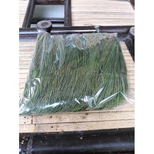 Jual Herbal DAUN PINUS SEGAR FRESH - Kab. Bandung - HAFIKA QIANDRA ...