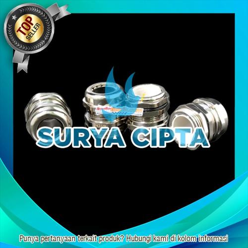 Jual Cable Gland Kabel Gland Brass BPG 19 Nintoku Murah - Jakarta Pusat ...