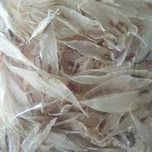 Jual Fishmaw - Perut Ikan - Gelembung - Fish Maw - Hipio 100gr - Kab ...