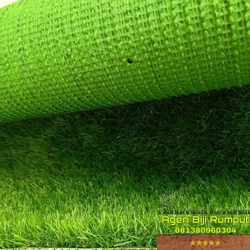 Promo Karpet rumput sintetis swiss 200cm X 100cm - rumput dekorasi ...