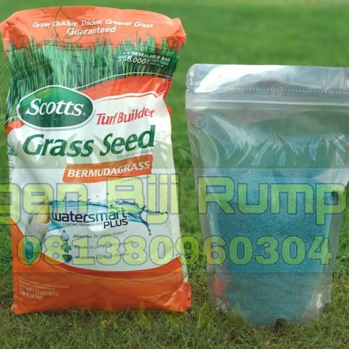 Promo Biji rumput Bermuda - biji rumput jepang - biji Rumput lapangan ...