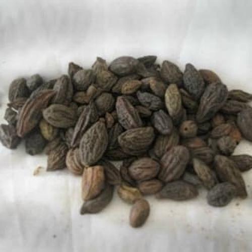 Jual Biji Buah MajaKeling Mojo Keling Jokeling Rempah Herbal Natural ...