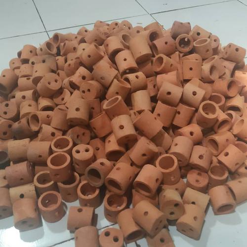 Jual pot bata- Stemplant murah aquascape aquarium - Kab. Bogor - udang ...