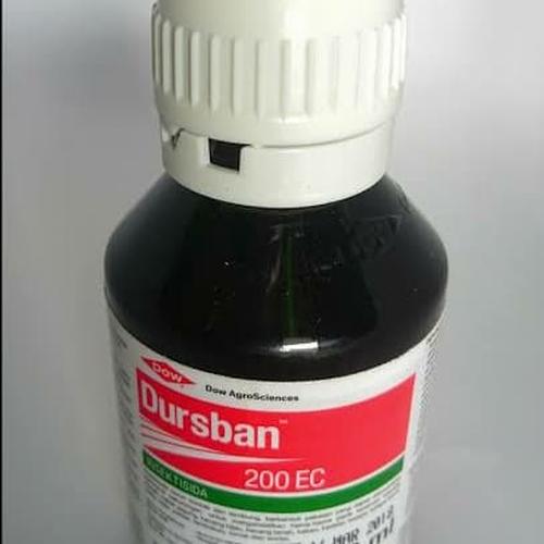 Jual tanaman hias pestisida obat hama dusban - Jakarta Utara - subur ...