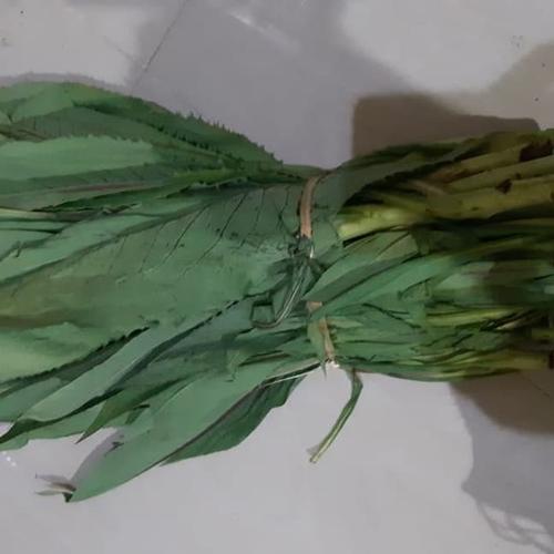 Jual SAYUR FUMAK - Kota Surabaya - BLESSED STAR | Tokopedia