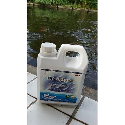 Jual Starter Bakteri Probiotik Untuk Kualitas Air Kolam Ikan - Kota ...