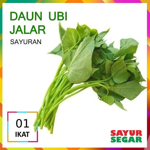 Jual DAUN UBI JALAR -SAYUR [1 Ikat] - Selada Air - Jakarta Selatan ...