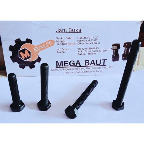 Jual Baut Baja M 10 x 50 P1.50 Fulldrat - Kota Batam - Mega Baut ...