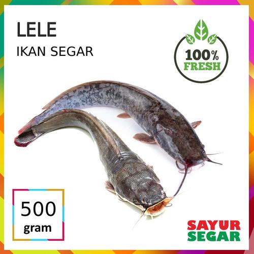 Jual IKAN LELE [500g] - Jakarta Selatan - SAYUR SEGAR | Official ...