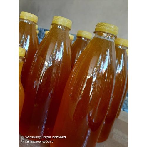 Jual MADU BOTOL 600ML GRADE SUPER Bersertifikat Lebah Apis Melifera ...