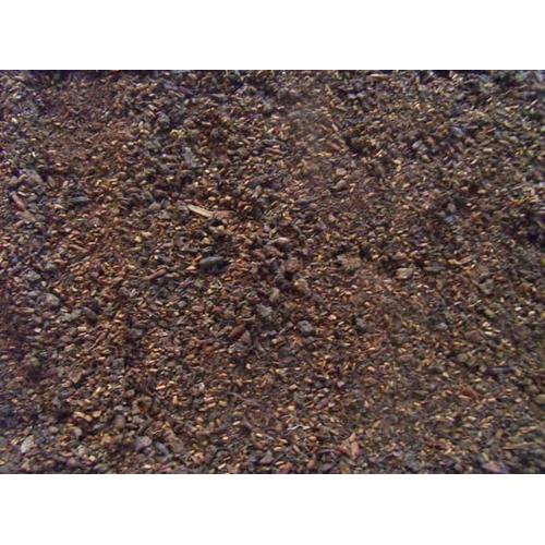 Jual NEW!! BIJI / BENIH POHON JABON PUTIH | HARGA JUAL BENIH JABON ...