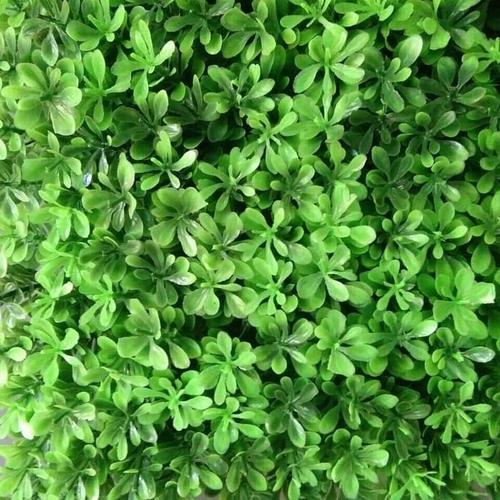 Jual rumput hias/alas foto/alas/hiasan dinding/hiasan pagar/hiasan ...