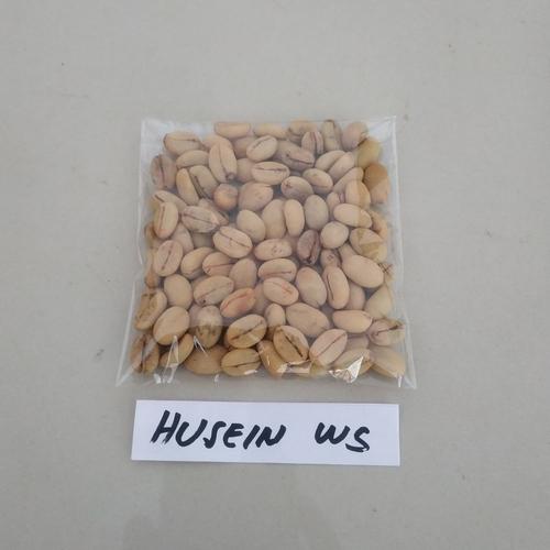 Jual biji benih kopi liberika kopi nangka super - liberika, isi 40 biji ...