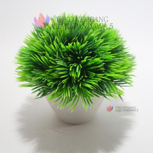 Jual rumput bola/rumput hias/rumput plastik/dekorasi/pajangan - Kota ...