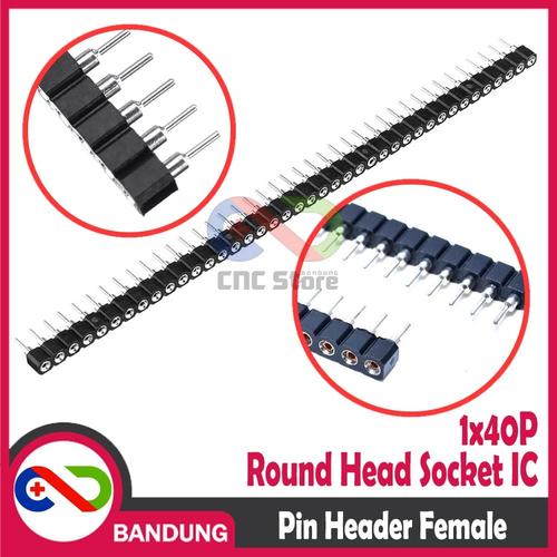 Jual PIN HEADER FEMALE ROUND HEAD SOCKET IC SINGLE ROW 1X40 2.54MM ...