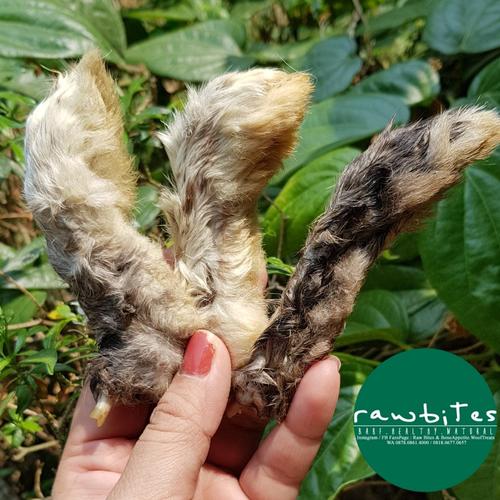 Jual RAWBITES RABBIT FEET - 2pairs - Kab. Tangerang - RAWBITES ...