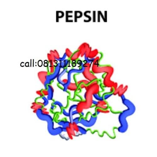 Jual Enzim Pepsin 100g - Kab. Bogor - Julio LAB | Tokopedia