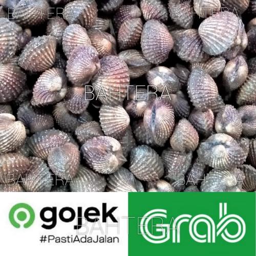 Jual Kerang Dara, Kerang Darah Konsumsi Seafood Segar - 20 Kg - Kota ...