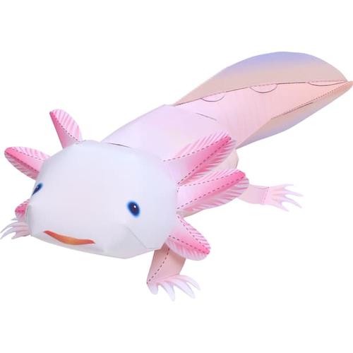 Jual Axolotl papercraft - Kab. Bekasi - Papercraft Tiviti | Tokopedia