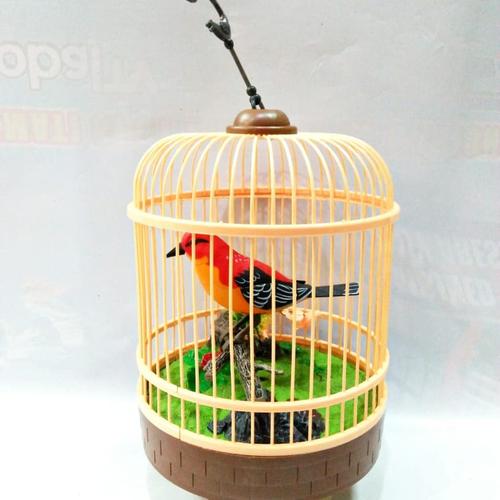 Promo mainan burung sangkar / burung sensor /burung mainan - Jakarta ...