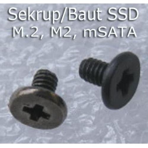 Jual Sekrup/Baut Soket SSD M.2 M2 mSATA - Kab. Sumedang - Mediatama ...