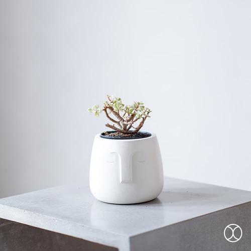 Jual CONCREATE Pot Kaktus Moai 10 cm / Pot Bunga / Vas / Dekorasi Meja ...