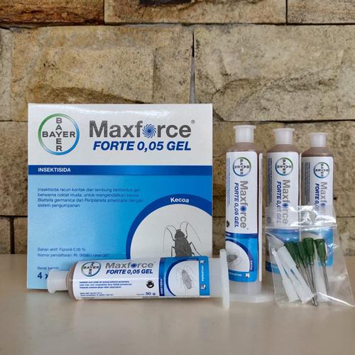 Jual MAXFORCE FORTE BAYER, Gel Umpan Racun Basmi Kecoa Super Ampuh ...
