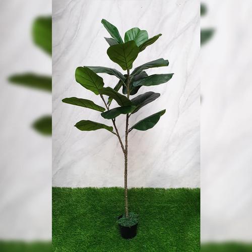 Jual pohon artificial ketapang bagus cabang dua - Jakarta Barat ...