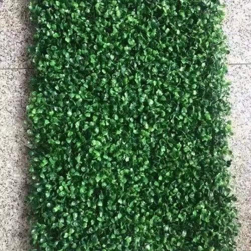 Jual tanaman hias rambat dolar sintetis artificial - daun palsu hiasan ...