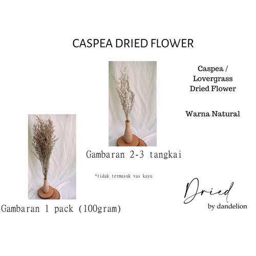 Jual CASPEA BUNGA KERING DRIED FLOWER (1 PACK) - Warna Natural ...
