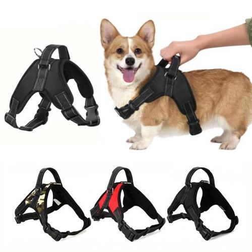 Jual Harness Anjing Rompi Besar Kucing Full Body Leash Tali Tuntun ...