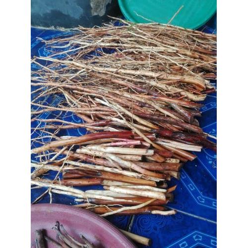 Jual Ready PROMO AKAR PINANG JAMBE 1kg OBAT HERBAL - Kab. Bandung ...